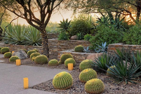 Cactus - Edgewater Pools - Las Vegas - Custom Pools - Landscaping ...